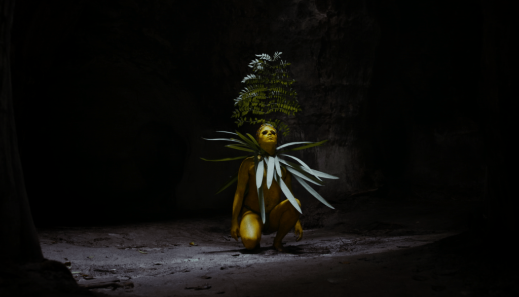 Uýra: A Retomada da Floresta | Panoramica